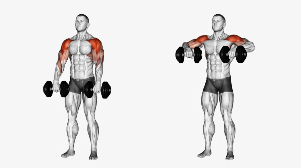 Dumbbell Upright Row: Ultimate Guide to Sculpting Strong Shoulders ...