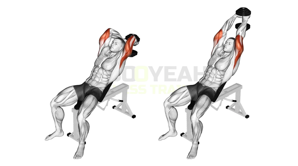 Seated Dumbbell Overhead Tricep Extension - Dubai’s Hub for Personal ...